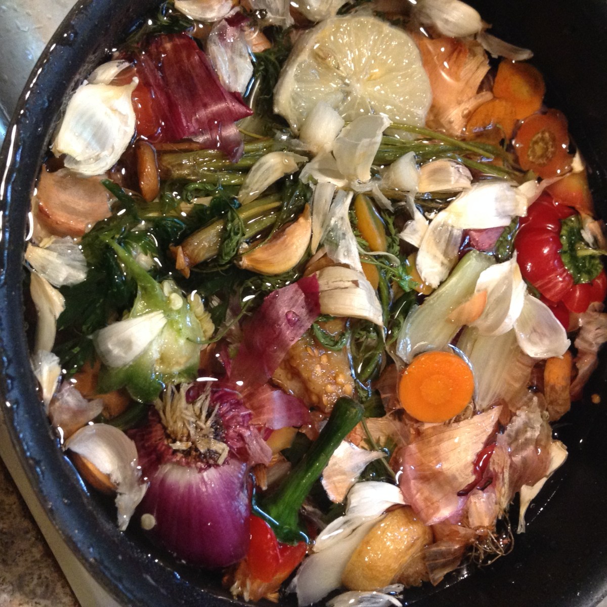 Reusing fruit and veggie scraps – Zero Waste Chattanooga